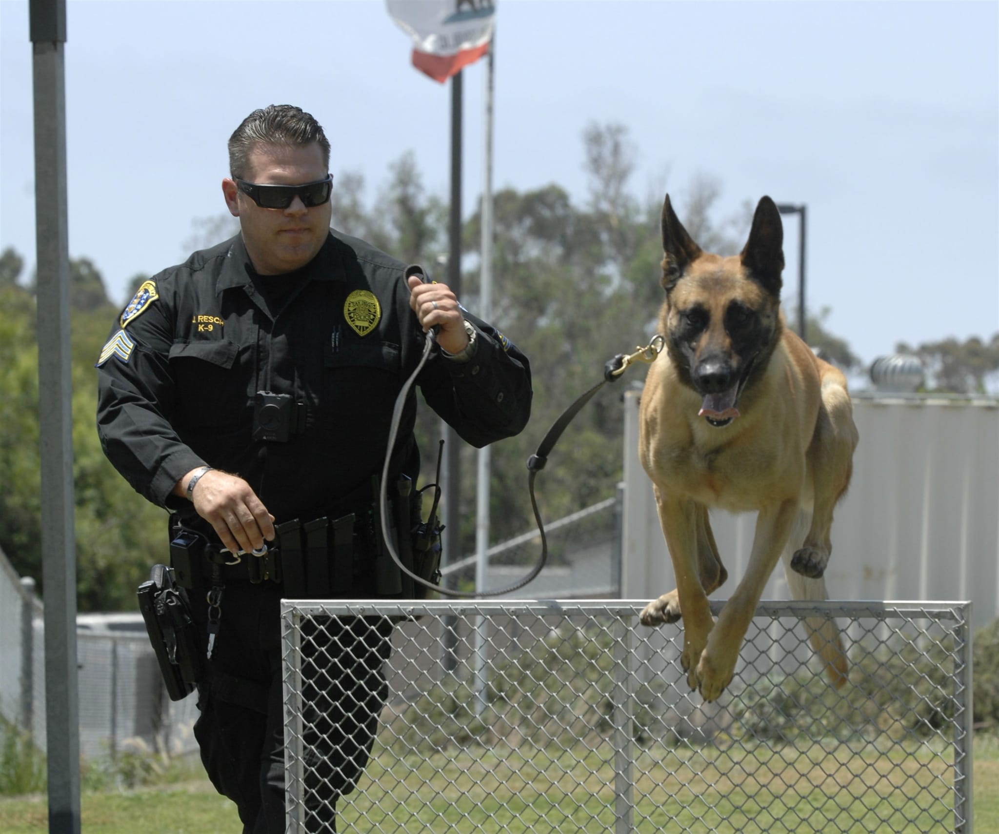Meet Dusty, the San Diego Police Dog - GOVX Blog