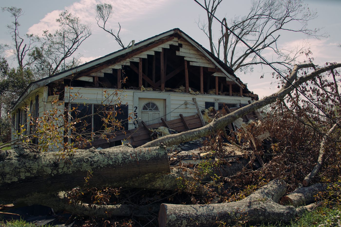 Surviving the Disaster After the Disaster - GovX Blog