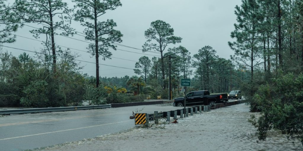 Surviving the Disaster After the Disaster - GOVX Blog