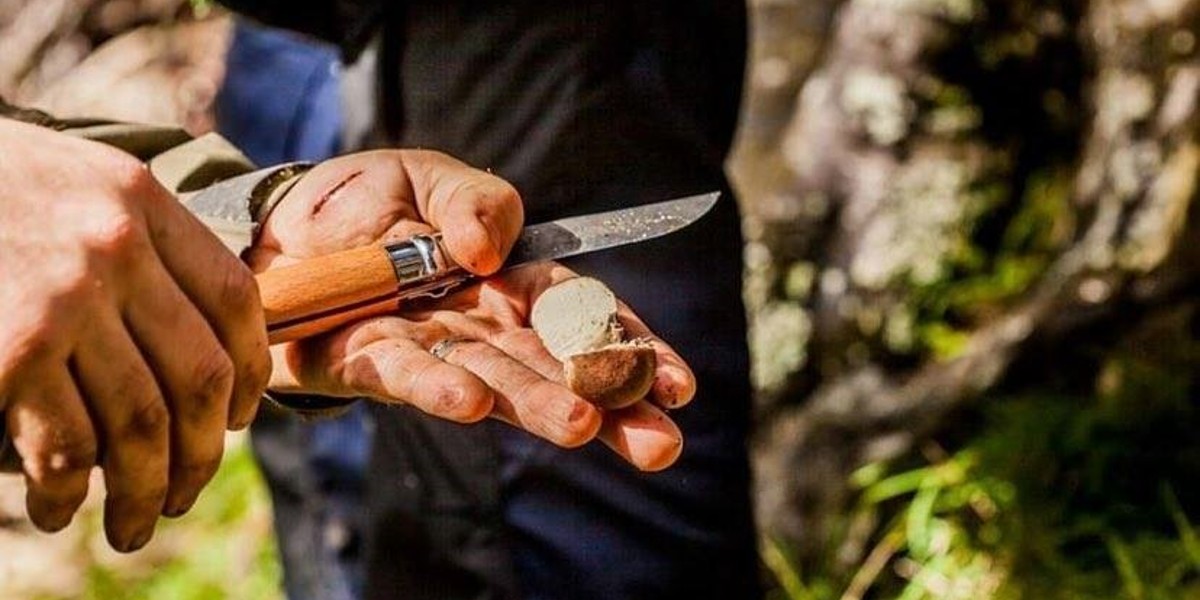 The Do's and Don'ts of Knife Handling - GOVX Blog