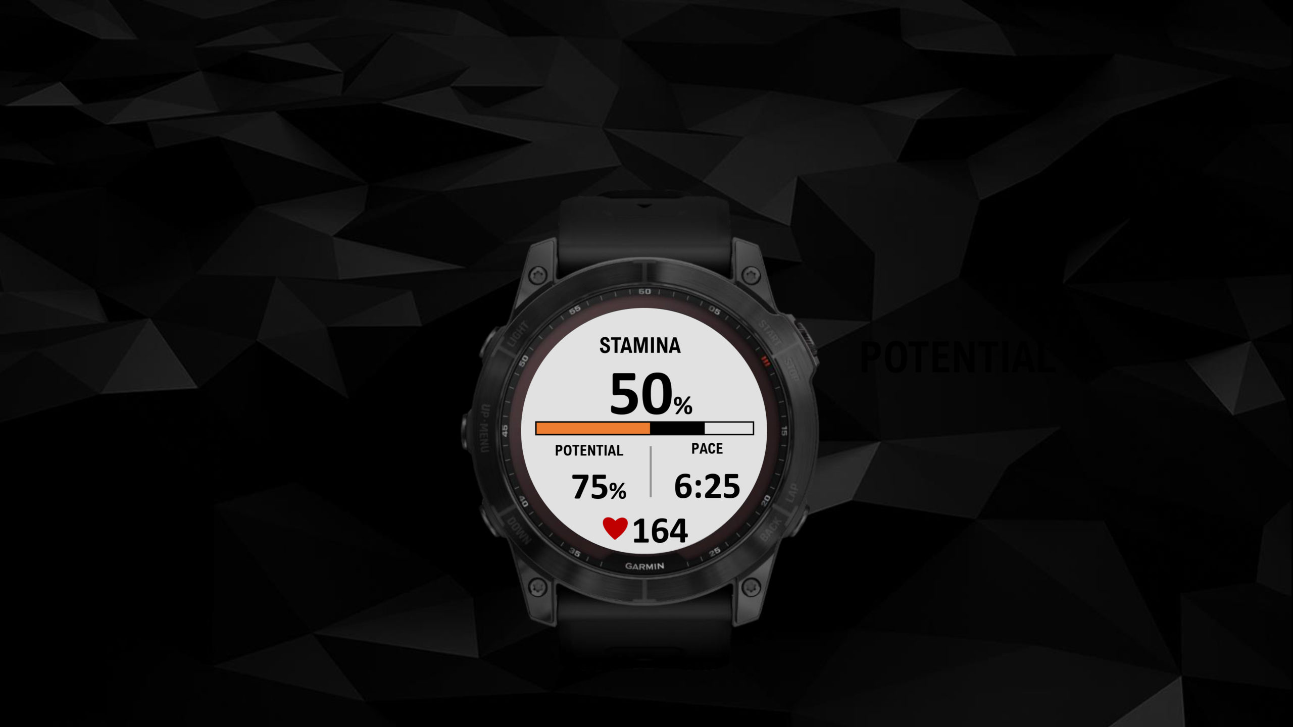 Here's Everything You Need to Know About the GARMIN FENIX 7