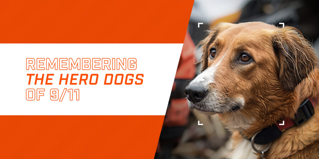 The Top Ten Best Police Boots: 2023 Update